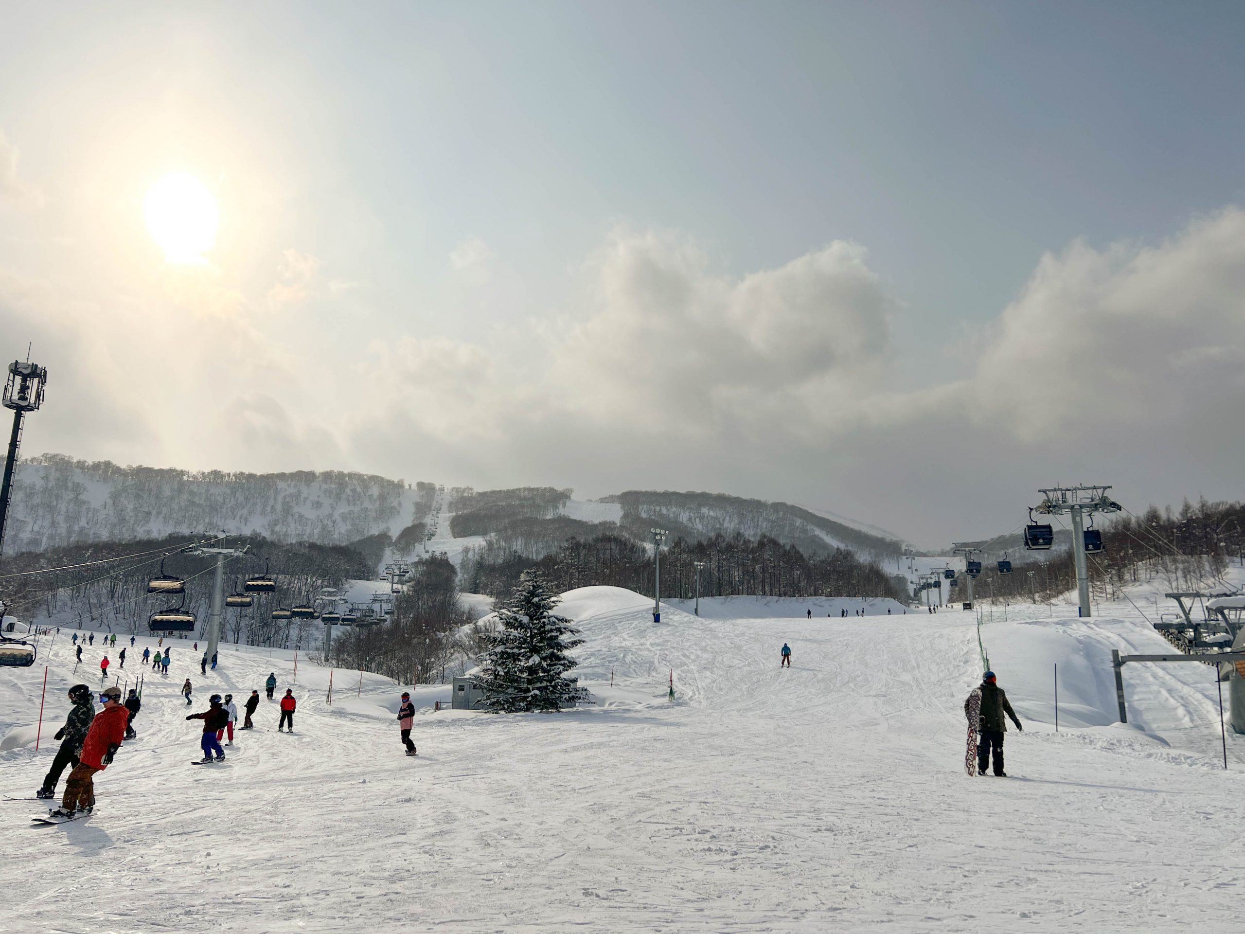12 Vegan-Friendly Restaurants in Niseko - Thejapaneserose